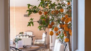 Uma área de refeições com mesa, cadeiras, um vaso de planta e uma janela com vista para o exterior.