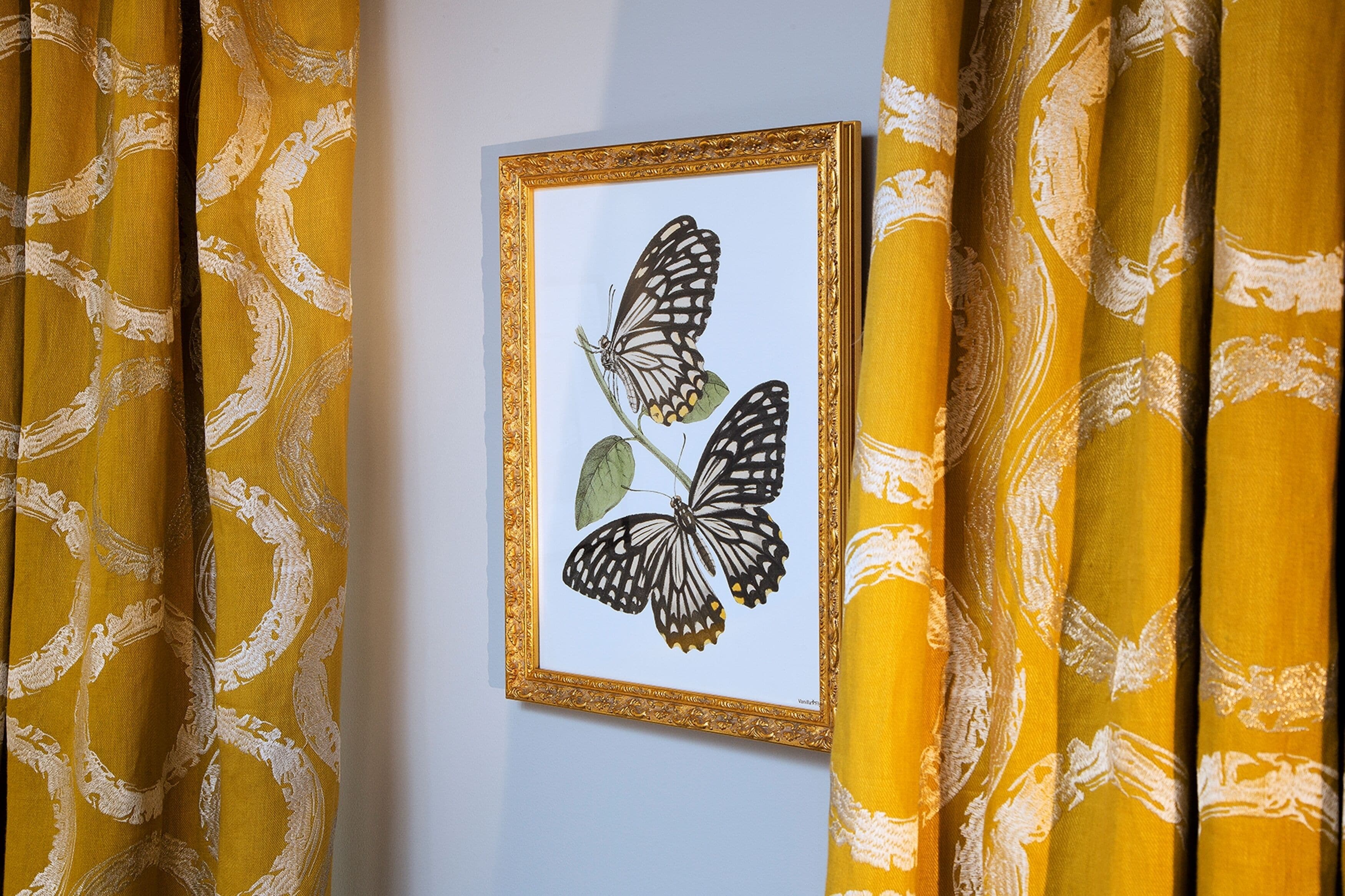 Uma arte de borboleta emoldurada em uma parede.