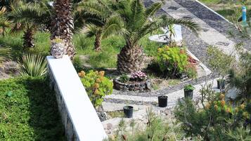Um jardim ajardinado com palmeiras, um caminho de pedra e uma parede branca.