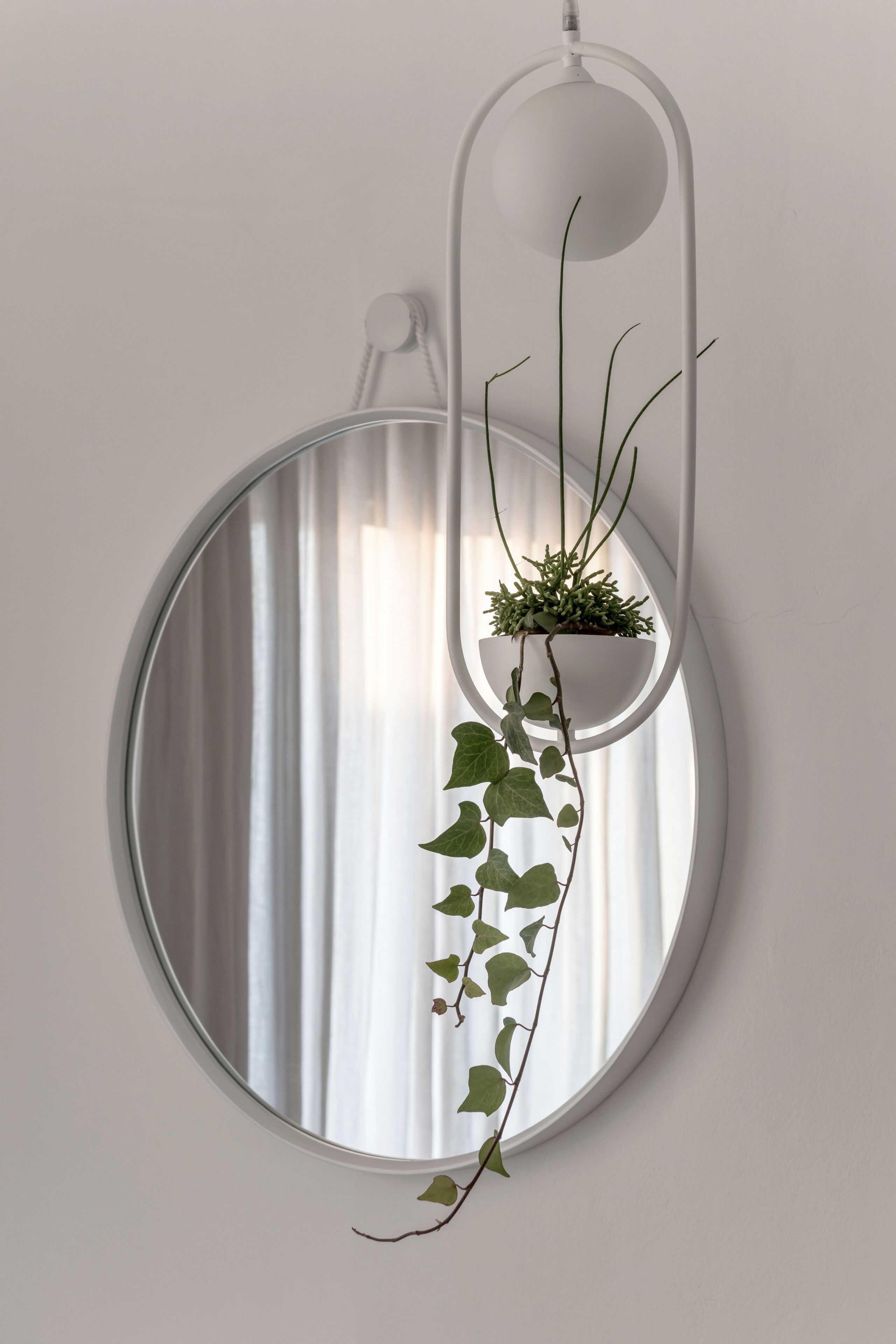 Um espelho fixado na parede com uma planta pendurada.