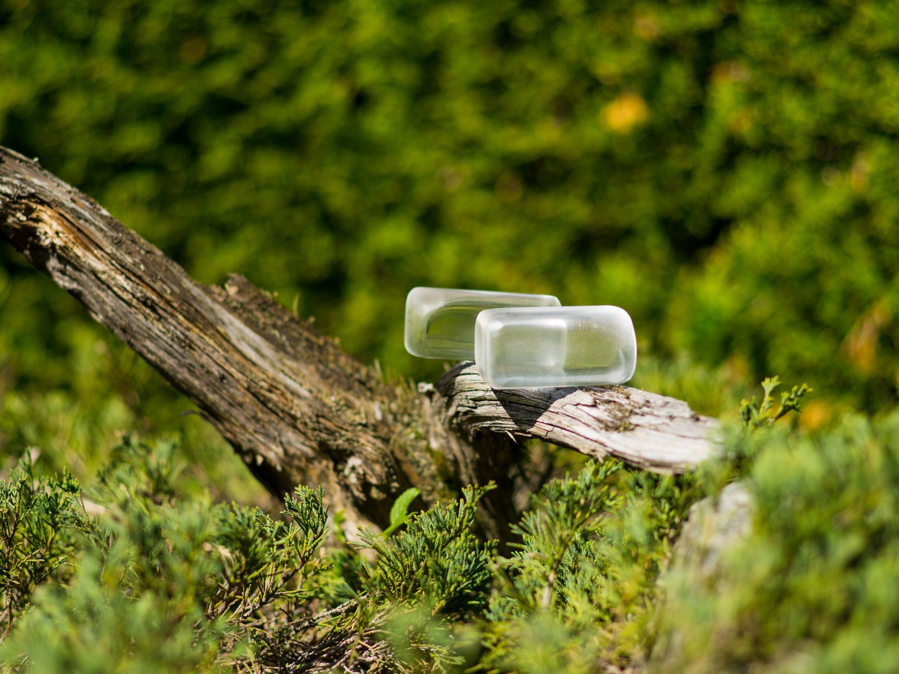 Duas garrafas de vidro transparente sobre um tronco de madeira em ambiente natural, com folhagem verde.