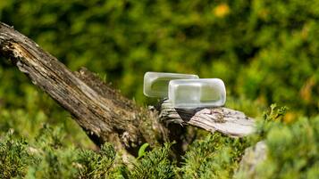 Duas garrafas de vidro transparente sobre um tronco de madeira em ambiente natural, com folhagem verde.