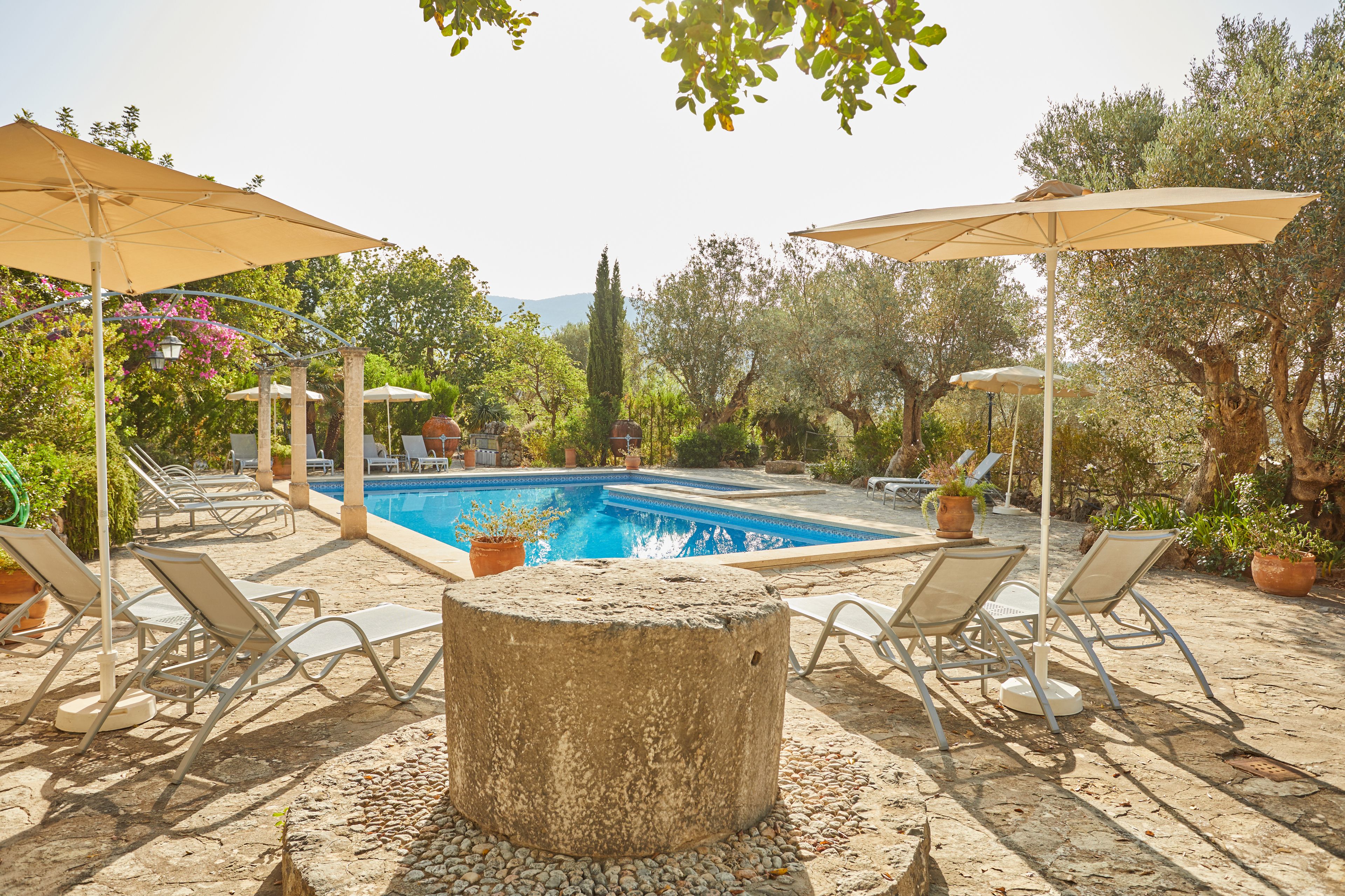 Área de piscina com espreguiçadeiras e guarda-sóis, cercada por árvores e plantas em vasos.