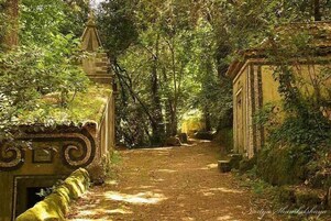 Terrenos do alojamento