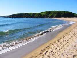Perto da praia, guarda-sóis de praia 