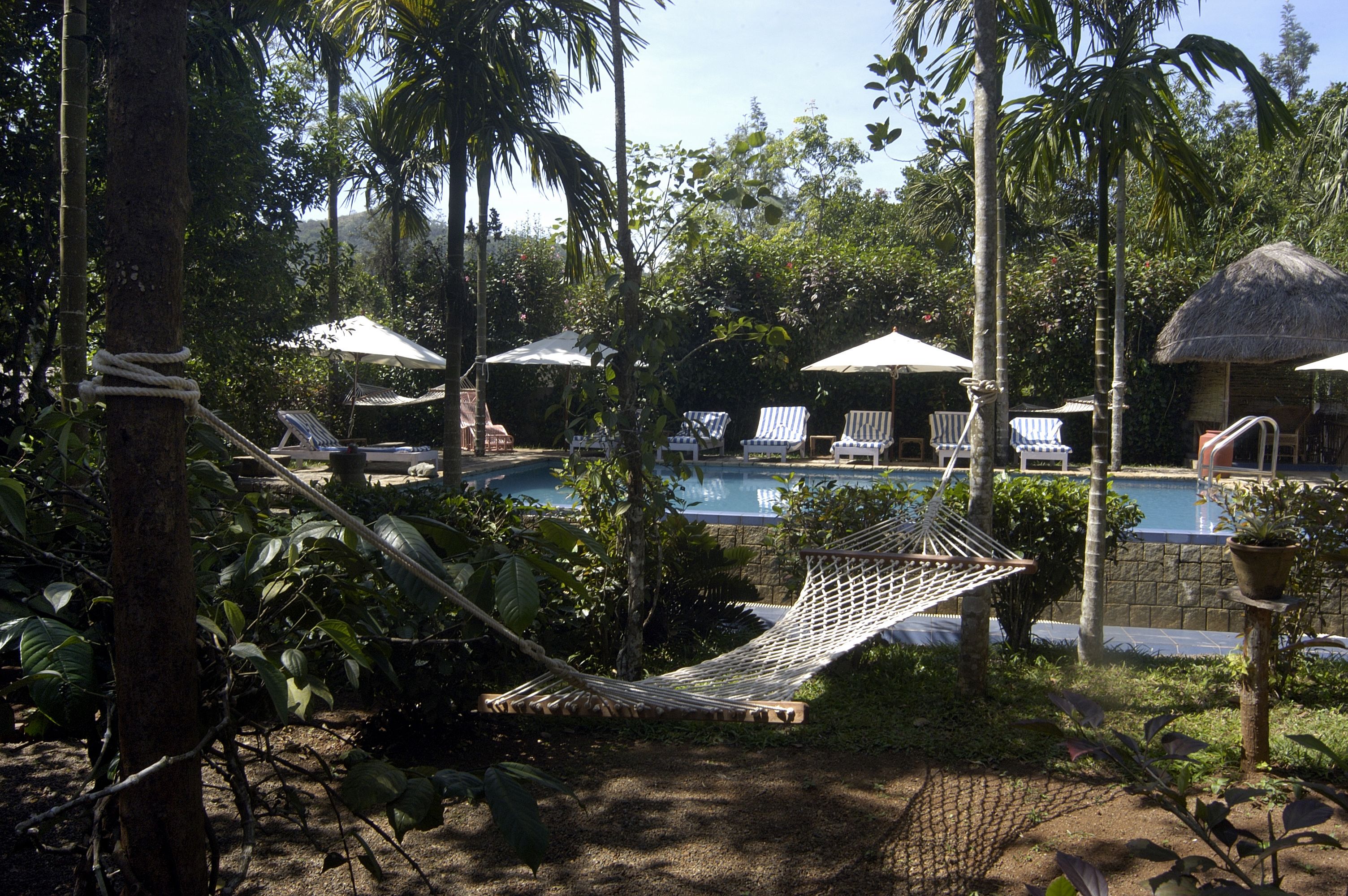 Uma área de piscina com espreguiçadeiras, rede e guarda-sóis.