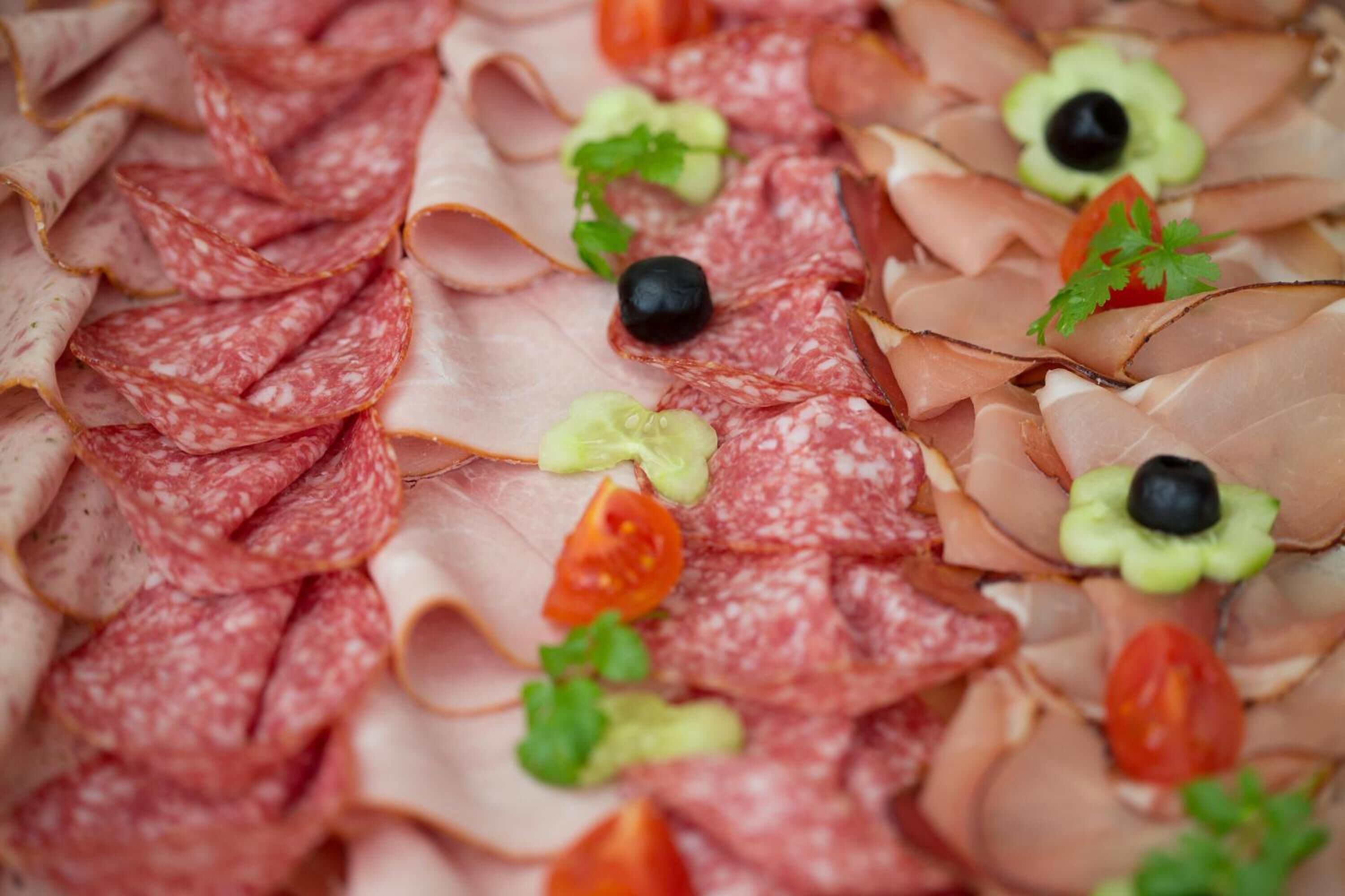 Diversos tipos de carne fatiada dispostos em círculo, decorados com pequenos vegetais e ervas.
