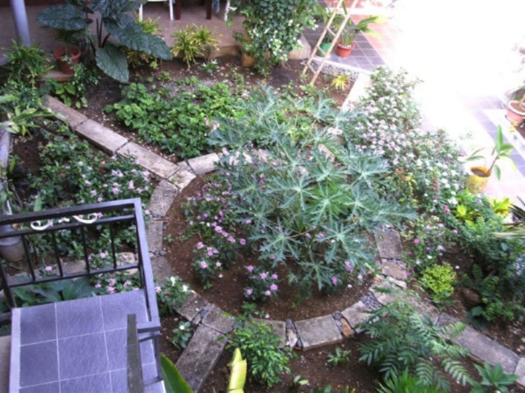 Um jardim com diversas plantas e flores, um banco de madeira e um corrimão de metal.