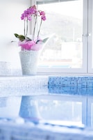 Piscina interior