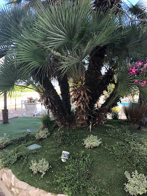 Jardim