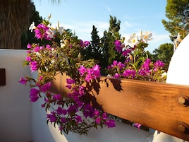 Jardim