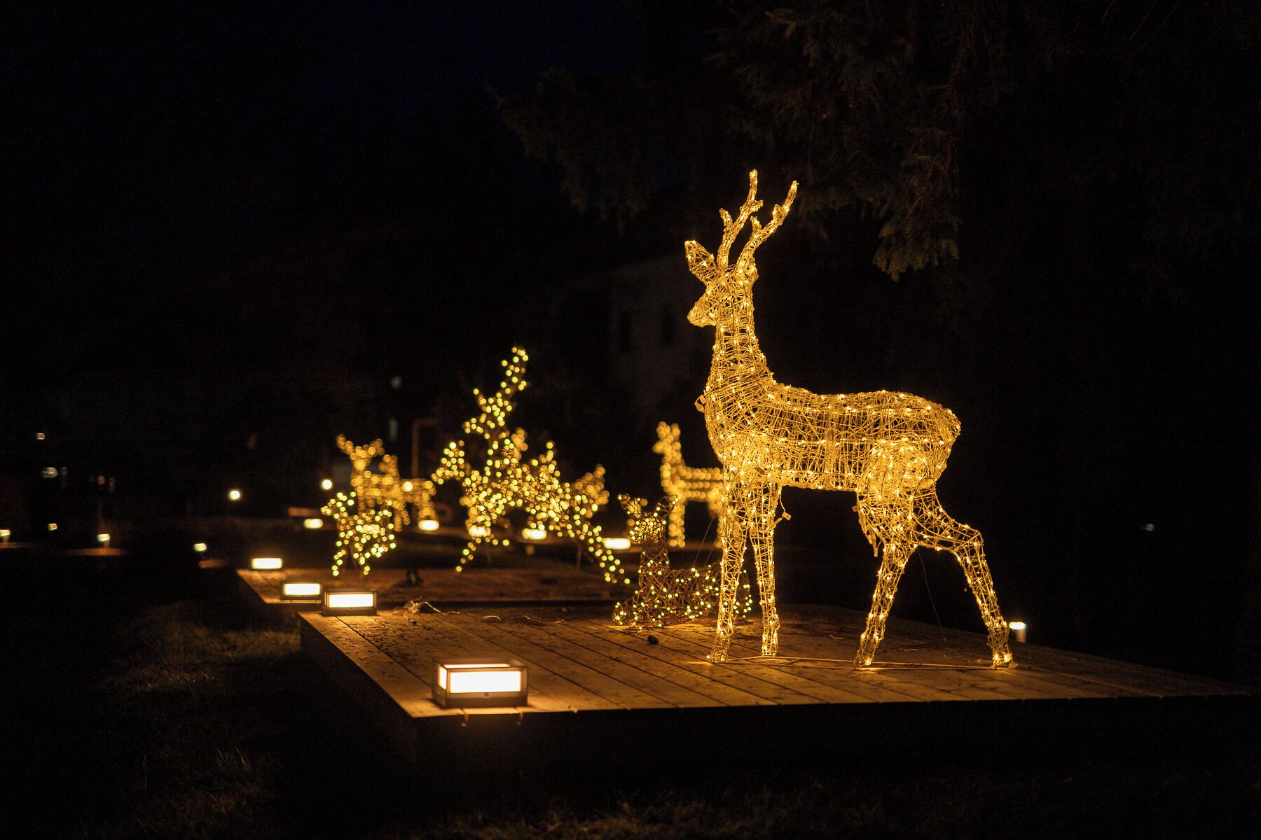 Uma grande escultura iluminada de um veado em uma plataforma de madeira, com pequenas luzes ao fundo.