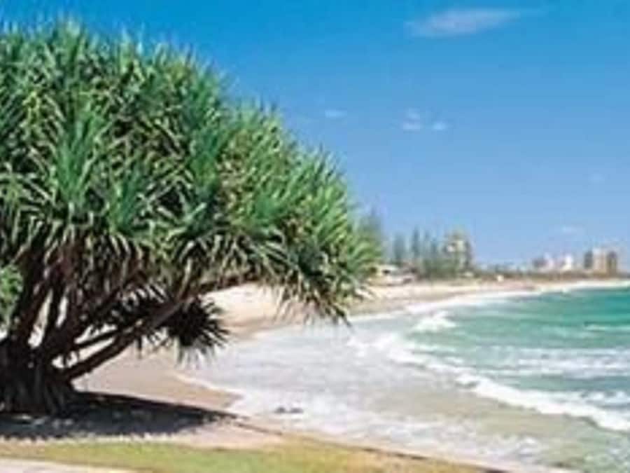 Vista da propriedade