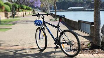 Uma bicicleta estacionada em um caminho pavimentado, ao lado de um corpo d'água, com uma árvore e uma cerca ao fundo.