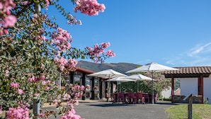 Uma área de terraço ao ar livre com mesas, cadeiras, guarda-sóis e um edifício com telhado ladrilhado.