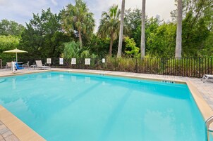 Piscina com espreguiçadeiras e guarda-sóis, cercada por uma grade e árvores.