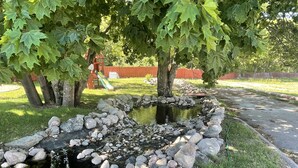 Um jardim com lago rodeado por pedras, uma árvore e um escorrega vermelho.