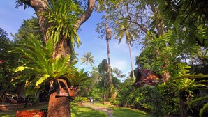 Vista para o jardim