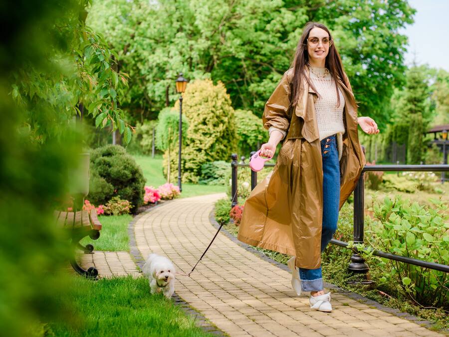 Uma pessoa passeando com um cachorro em um caminho pavimentado em um parque, com vegetação e um poste de luz.