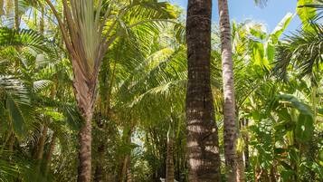 Jardim