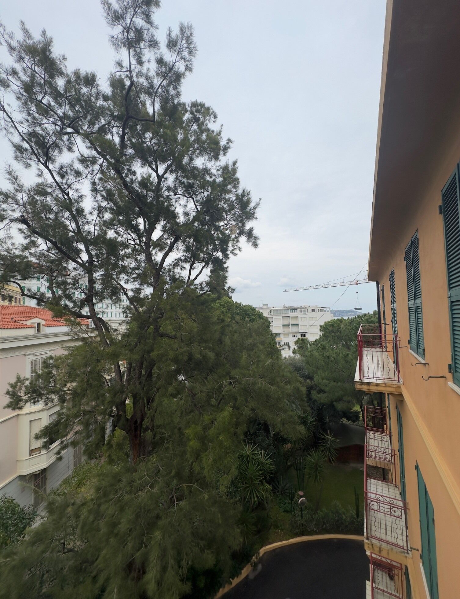 Edifício residencial com varanda, uma grande árvore em primeiro plano e vista ampla do bairro ao redor.