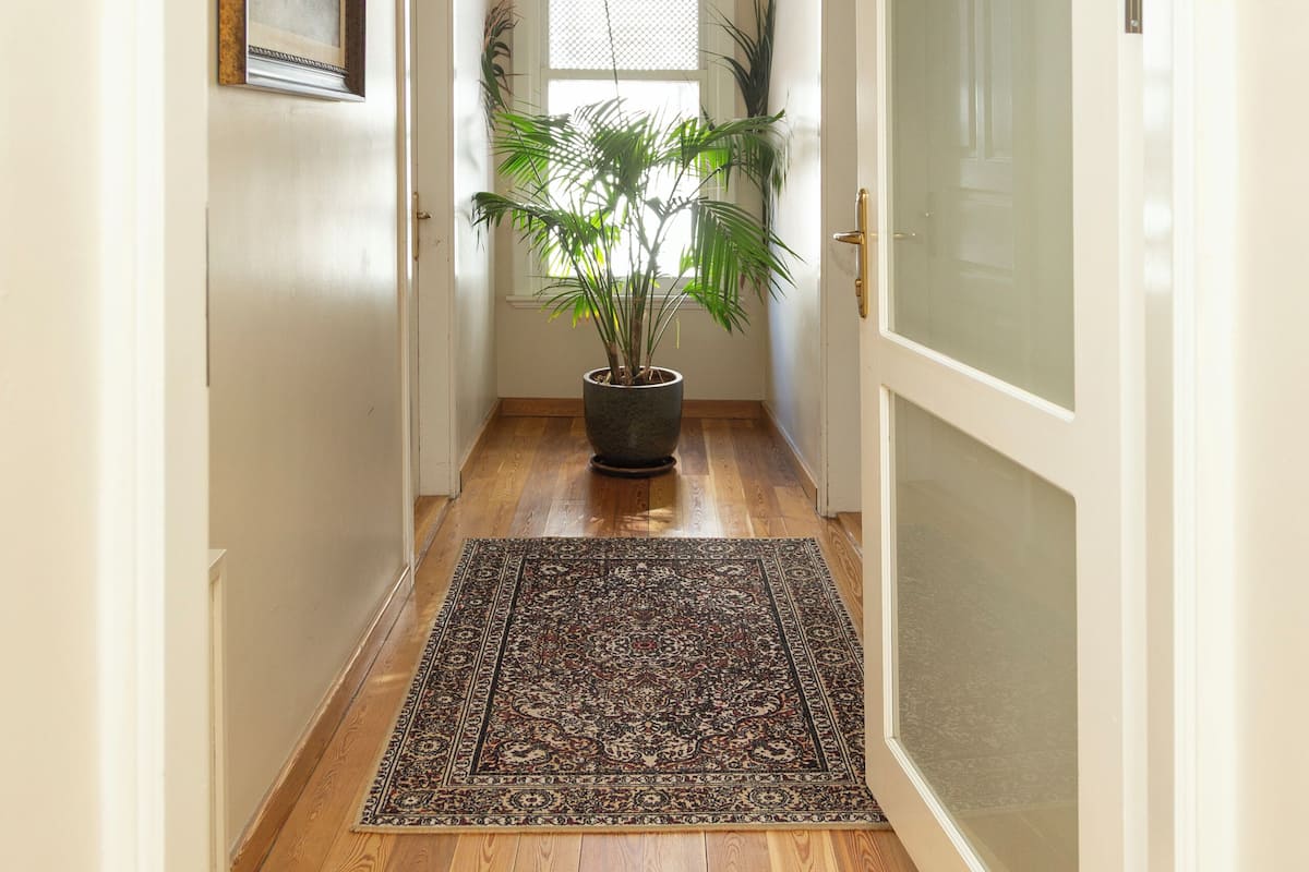 Um corredor com piso de madeira, um vaso de planta, um quadro emoldurado e uma porta com vidro jateado.