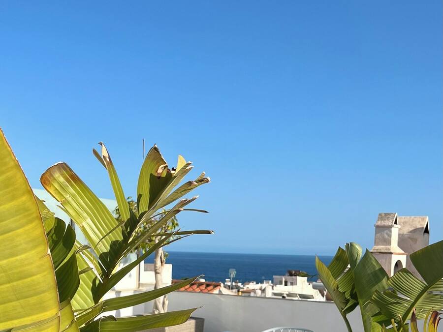 Terraço/pátio interior