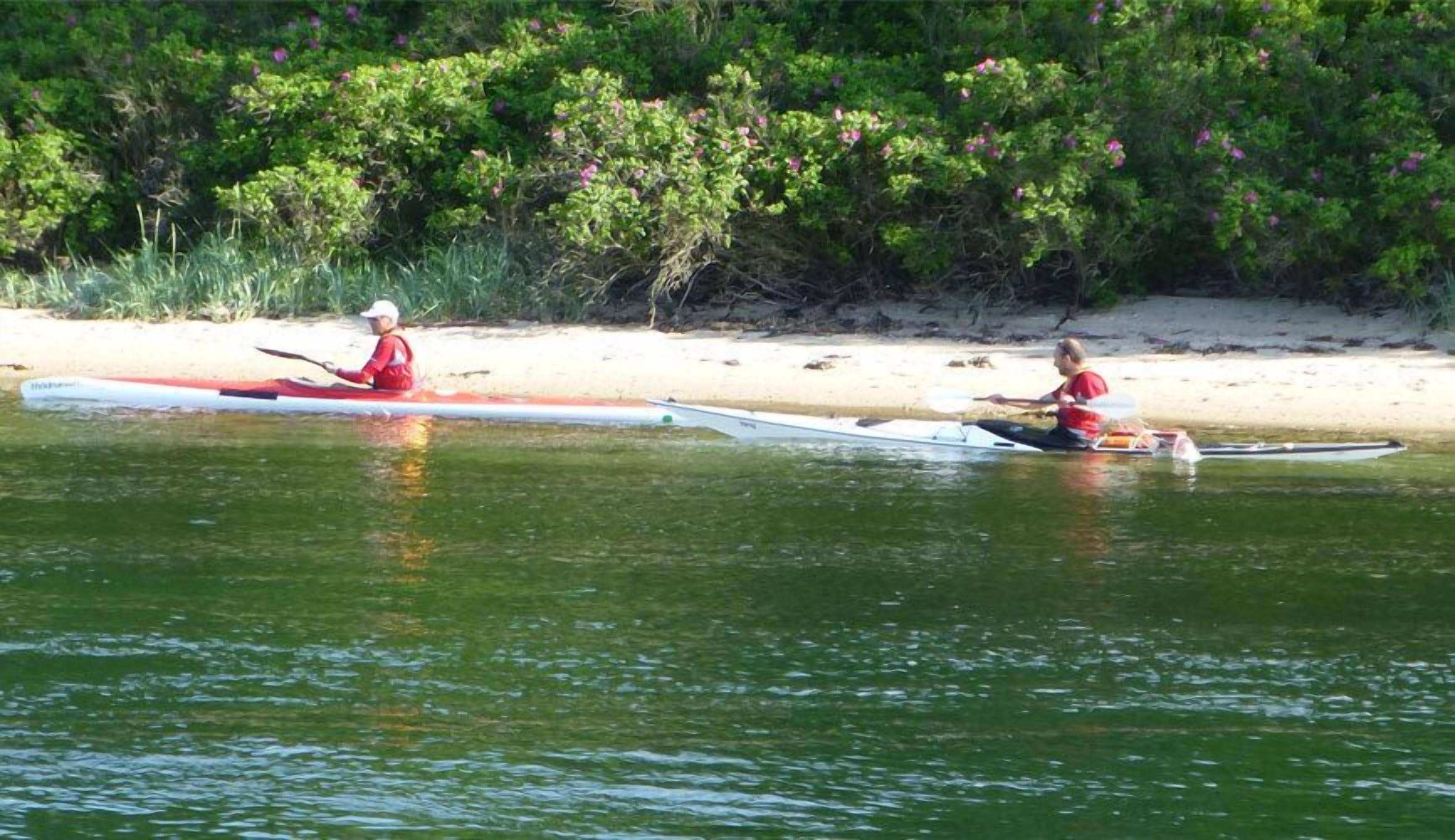 Duas pessoas praticam caiaque em um rio calmo, com uma praia arenosa e vegetação densa ao fundo.