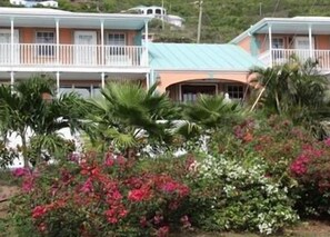 Terrenos do alojamento