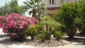 Uma casa com telhado vermelho, rodeada por um jardim com buganvílias cor-de-rosa e palmeiras.