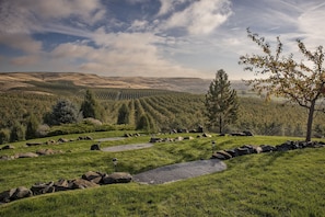 Um jardim com paisagismo, com um caminho de pedra, árvores e vista para colinas ao longe.