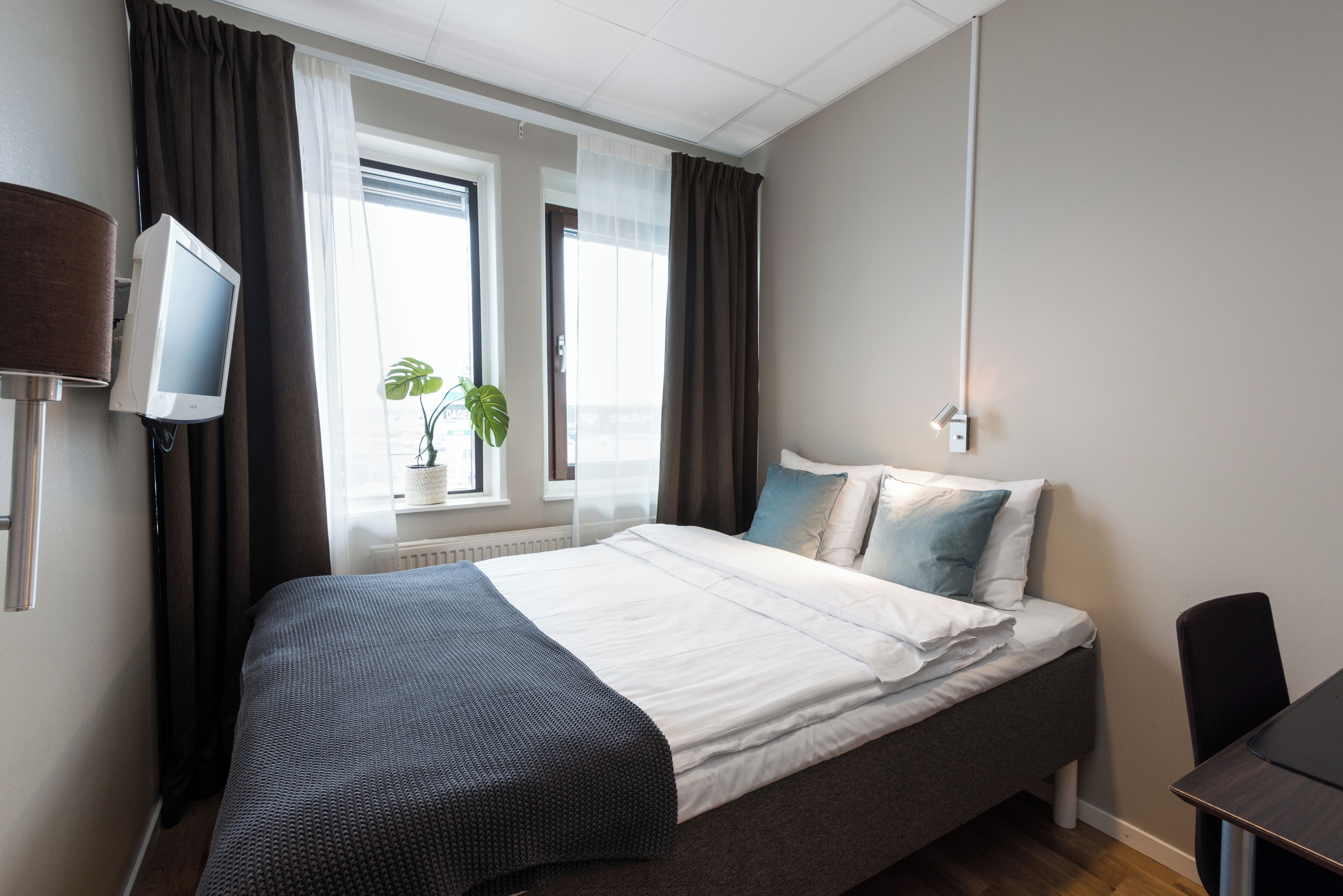 Quarto de hotel com cama, televisão, janela com cortinas, uma planta e uma escrivaninha.