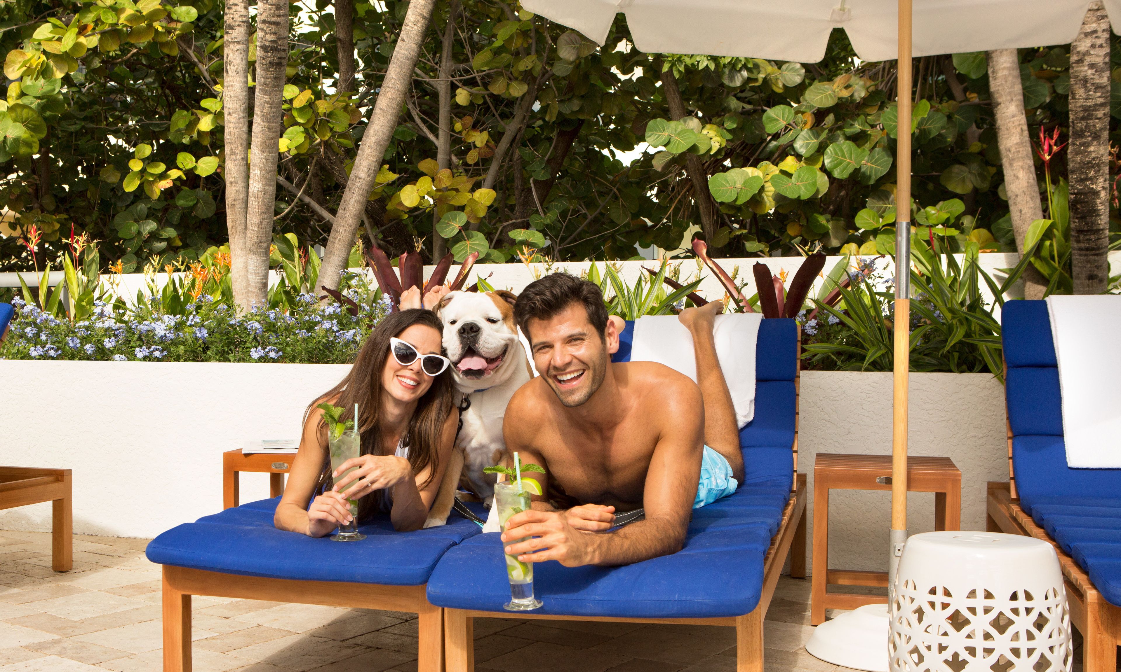 Um casal relaxando em espreguiçadeira com um cão, cercado por vegetação exuberante e uma parede branca.