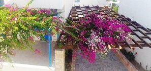 Pormenores do exterior