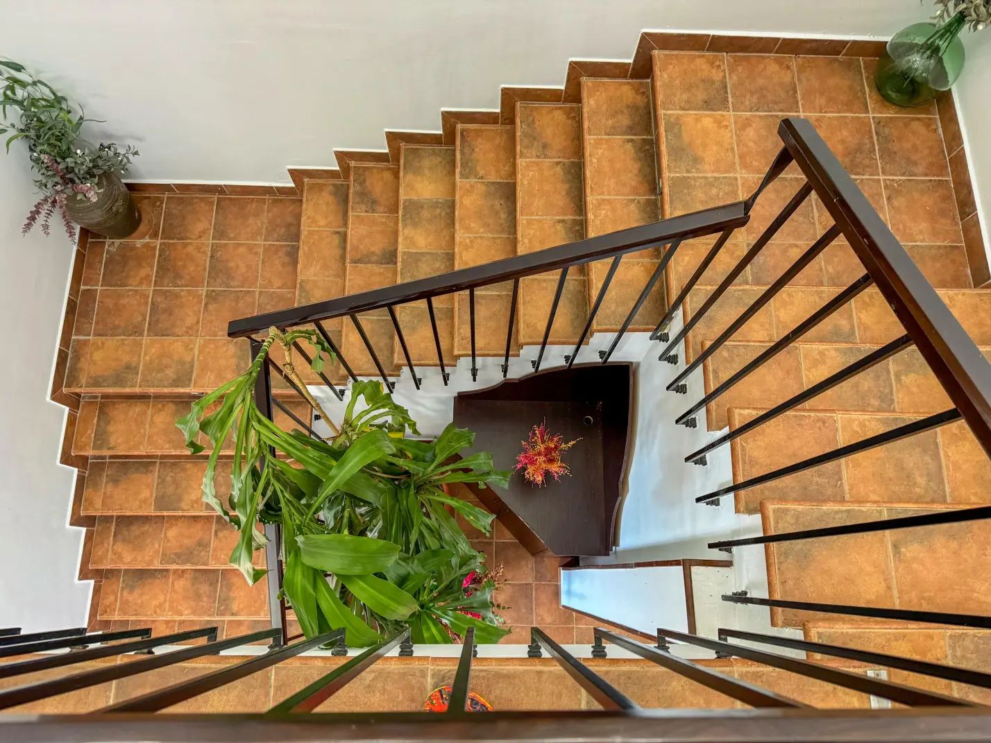 Uma escadaria com azulejos marrons, corrimão de metal preto e plantas no final.