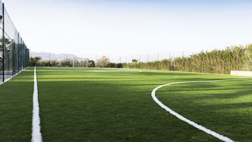 Um amplo campo gramado com linhas brancas demarcando os limites, provavelmente um campo esportivo, cercado por uma cerca alta e árvores ao fundo.