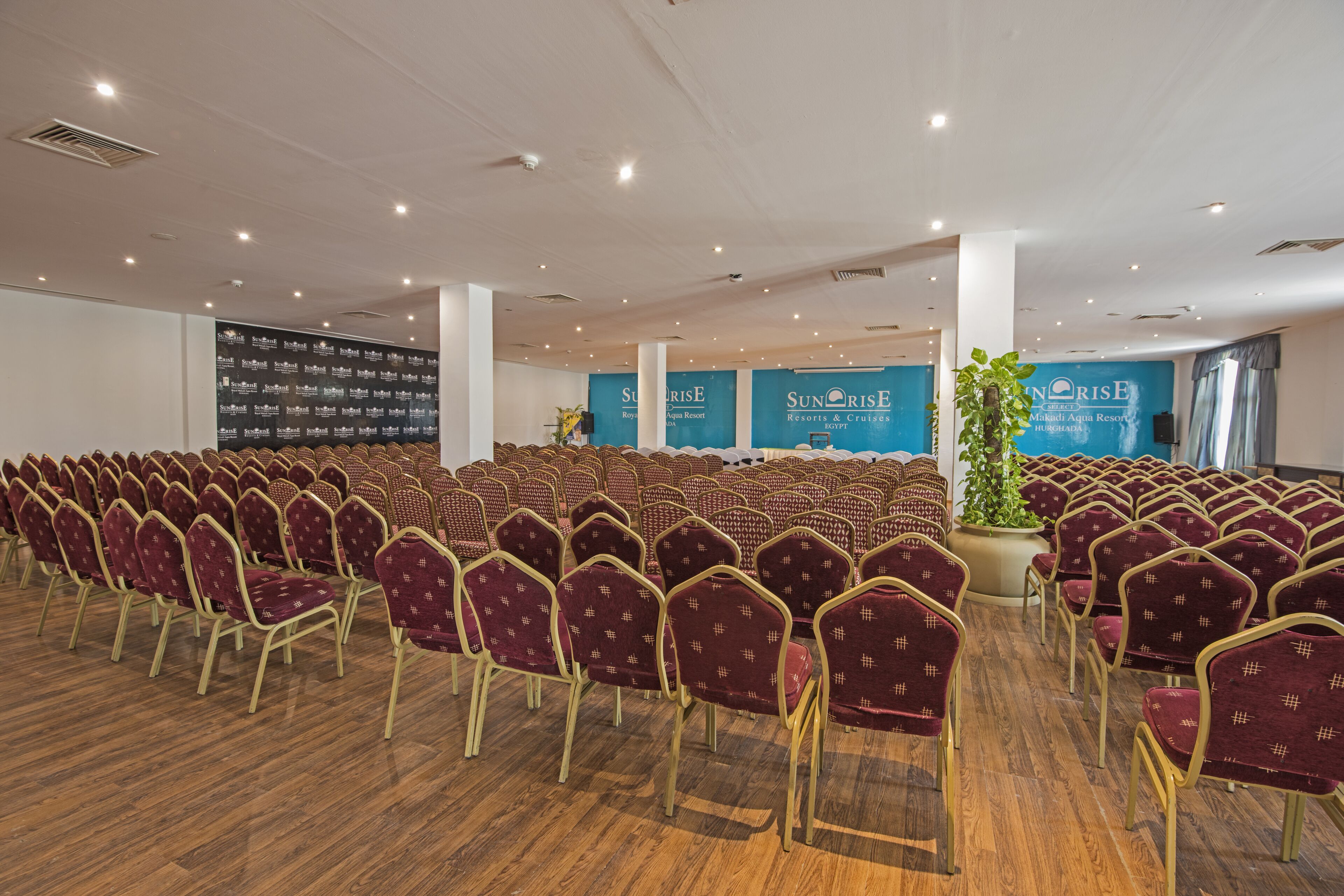 Uma sala de conferências com fileiras de cadeiras e uma planta grande no centro.