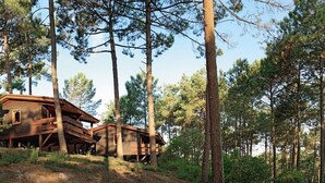 Duas cabanas de madeira apoiadas em estacas em meio à floresta.