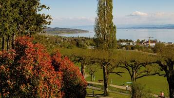Um parque com árvores, um lago e uma paisagem urbana ao longe.