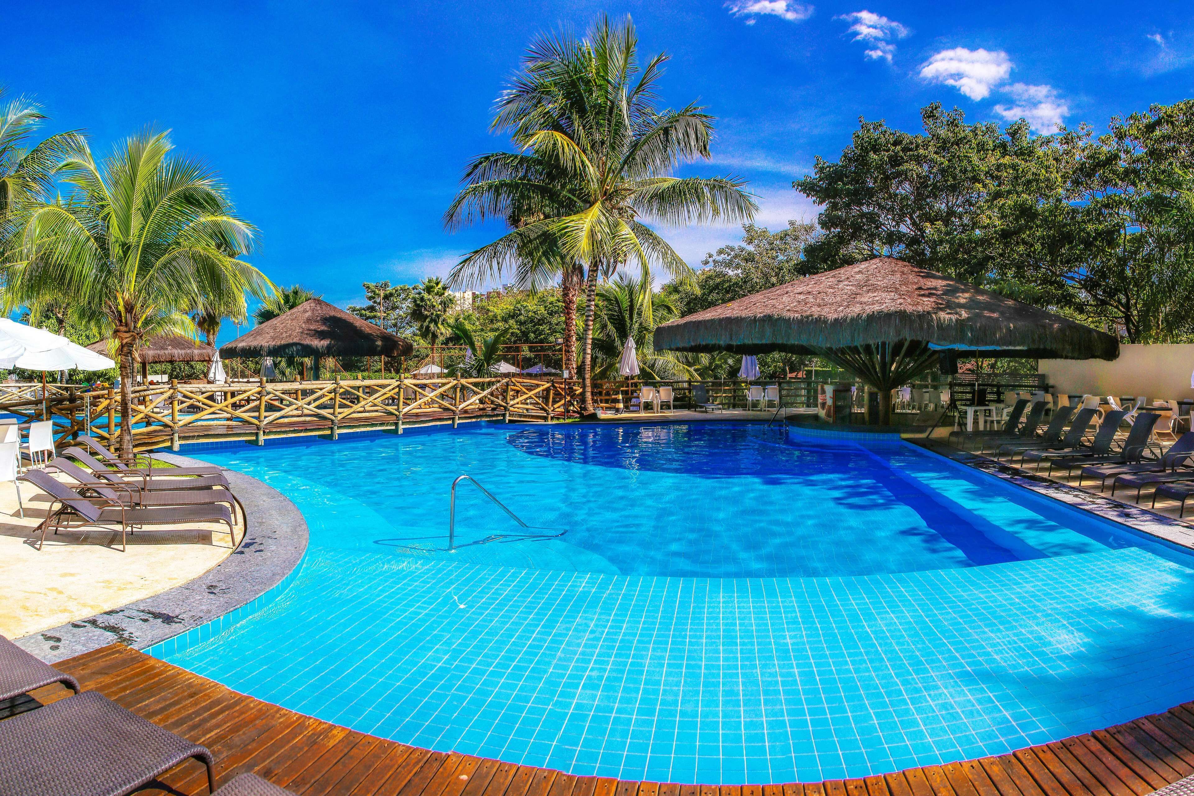 Piscina com espreguiçadeiras e palmeiras.
