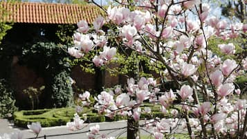 Uma mangueira com flores cor-de-rosa em frente a um edifício de tijolos com telhado de telhas.