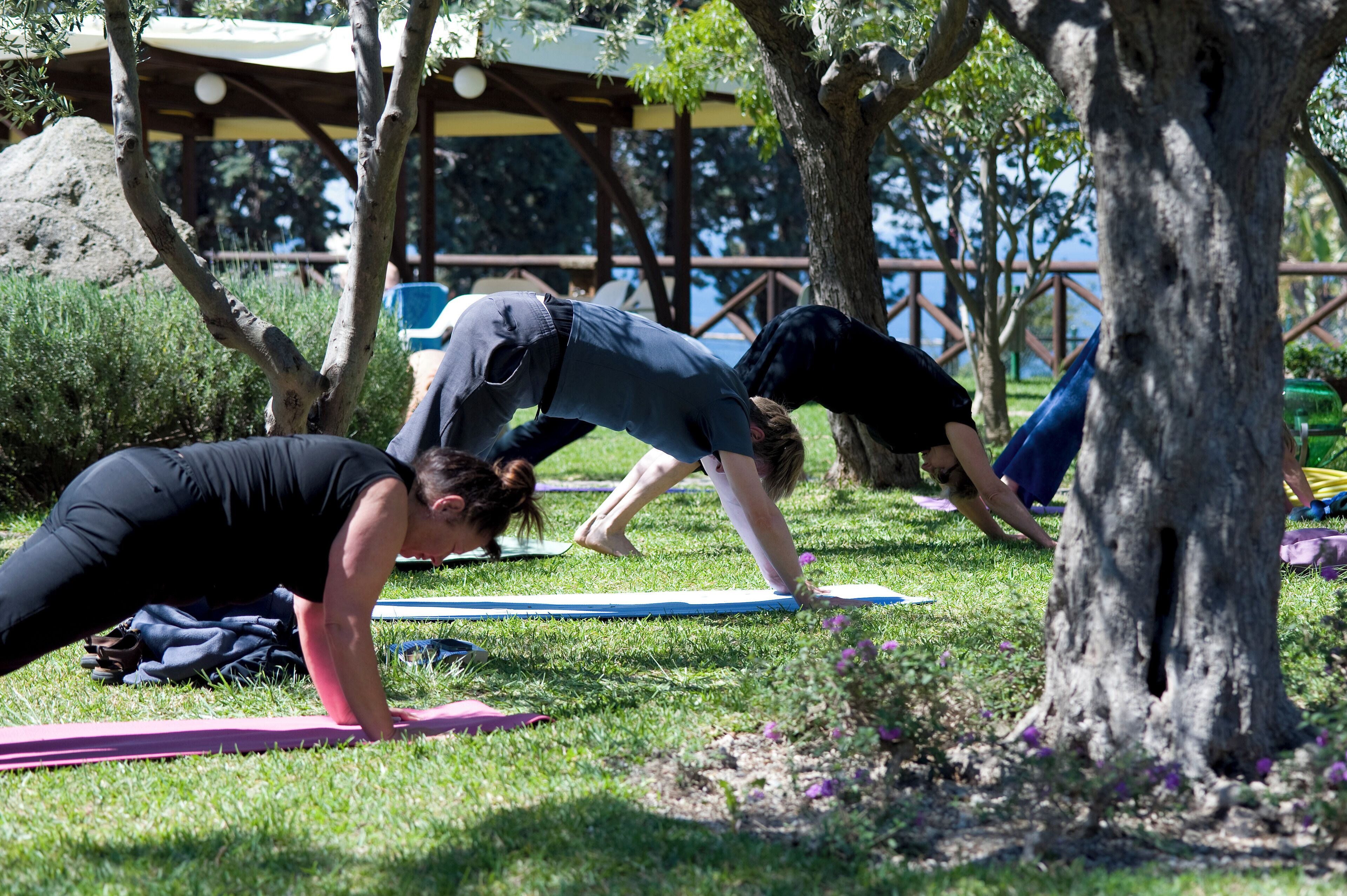 Pessoas praticando yoga em tapetes em um ambiente externo, com árvores e uma área coberta ao fundo.
