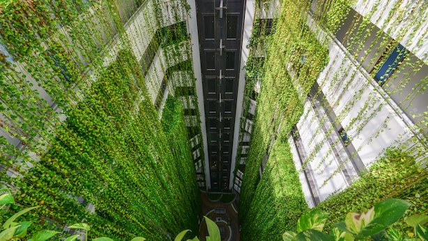 Corredor jardim vertical com um caminho central, cercado por vegetação exuberante.