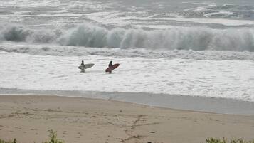 Uma praia com ondas e dois surfistas carregando pranchas de surf.