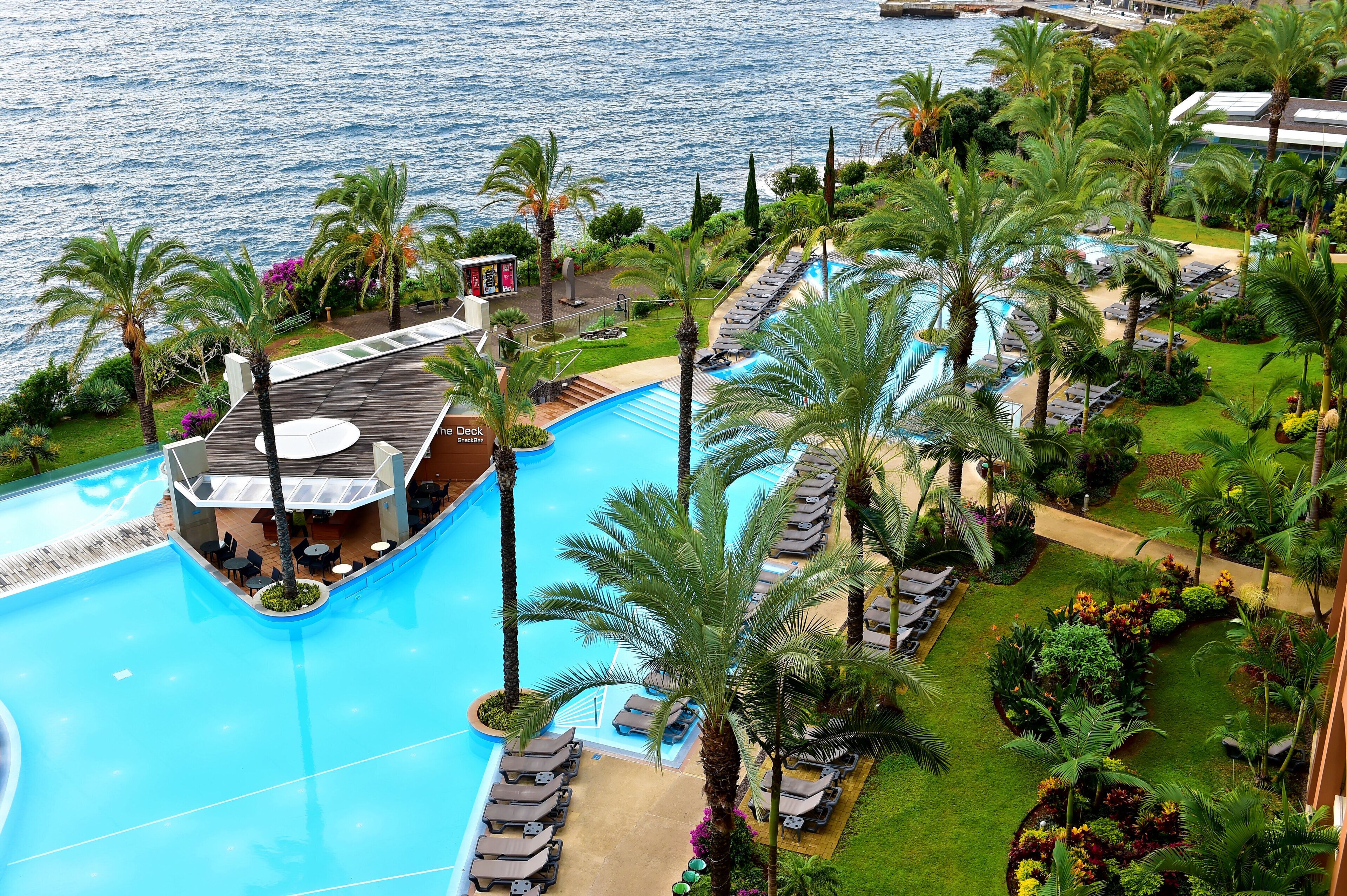 Um resort com piscina, espreguiçadeiras e palmeiras.
