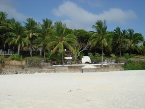 Praia com palmeiras, uma van branca e um muro de pedra.