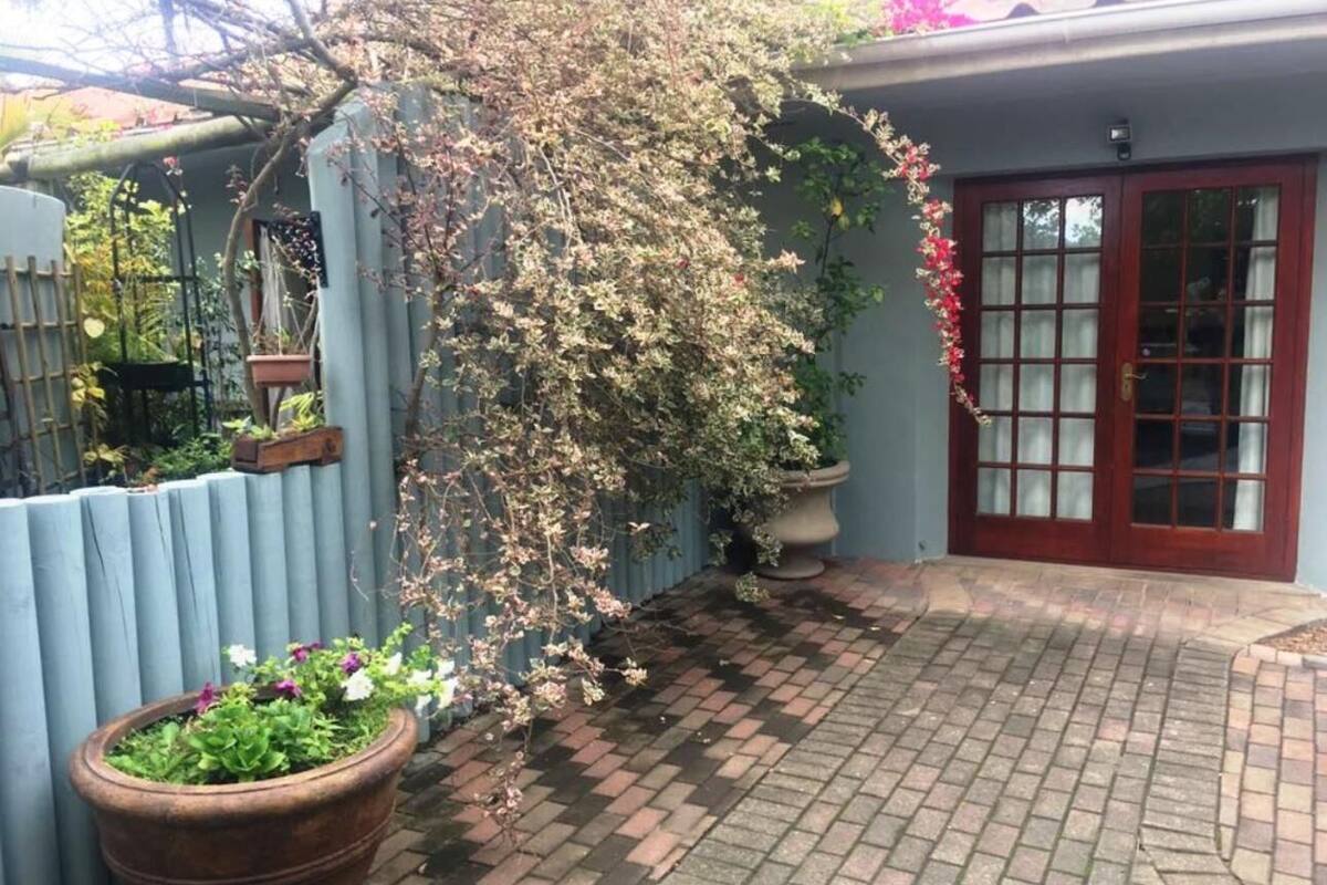 Um pátio de tijolos com uma cerca azul, um vaso de planta e uma porta com painéis de vidro.