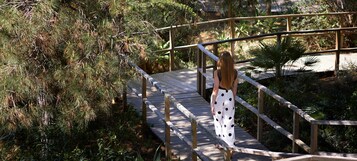 Uma ponte de madeira num jardim com folhagem densa em ambos os lados.