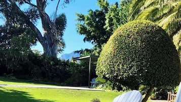 Vista para o jardim
