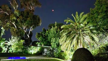 Vista noturna de um jardim ajardinado, com árvores e uma piscina.